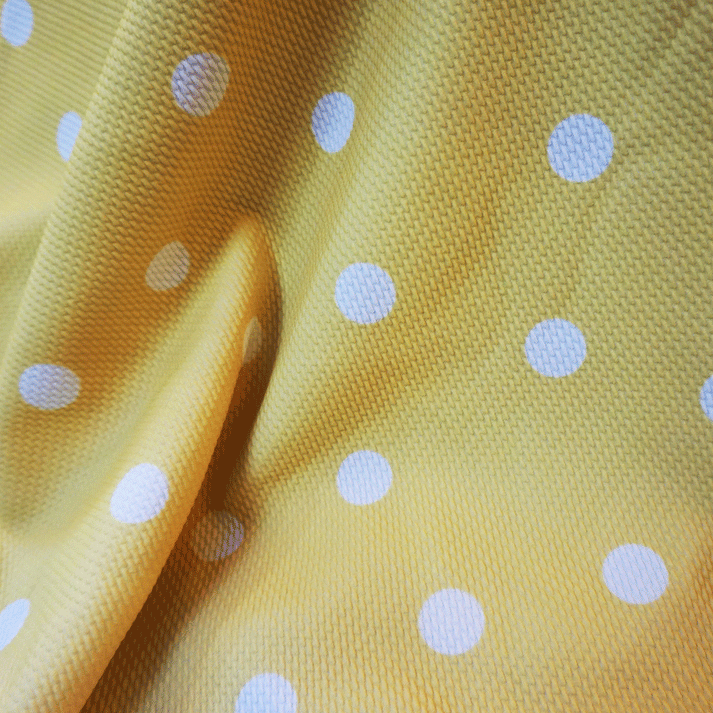 INTERLOCK STRUCTURE CIRCULAR KNIT FABRIC – Ginza Industries Limited